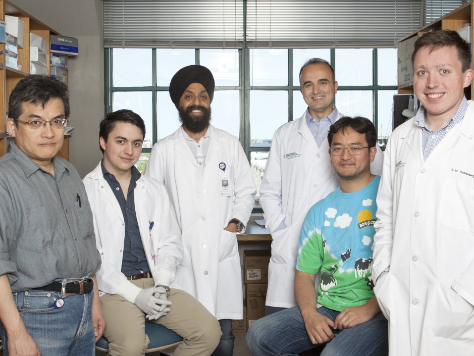 Cancer Therapy Effort Targets Dormant Cells - Mass General Giving